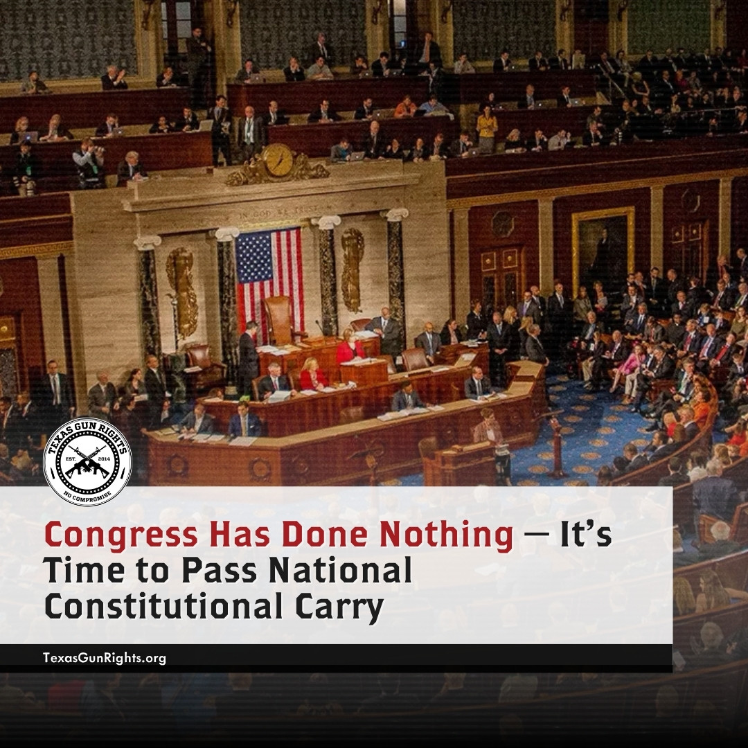 Congress Has Done Nothing — It’s Time to Pass National Constitutional ...